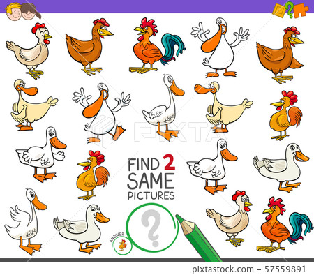 find two same farm birds game for kids-插圖素材 [57559891] - PIXTA圖庫