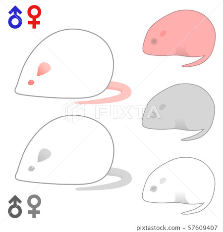 Mouse parent-child parent-child mouse male... - Stock Illustration ...