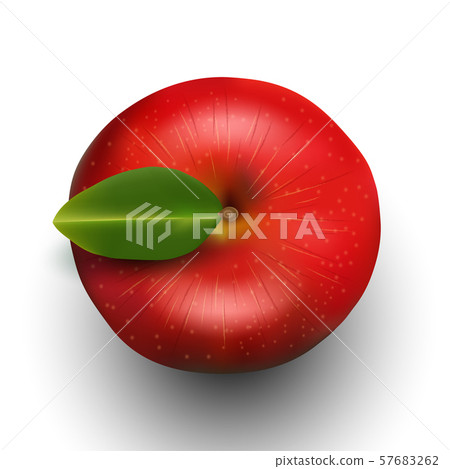 Vector illustration of red apple top view - Stock Illustration ...