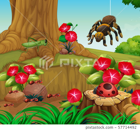 Background scene with insects in the garden - Stock Illustration ...