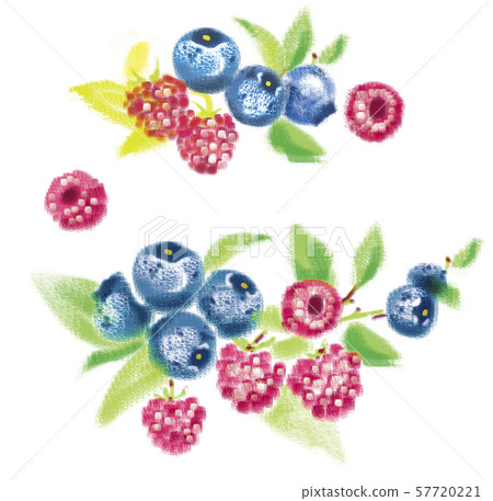 Watercolor hand painted paint raspberry blueberry - Stock Illustration ...