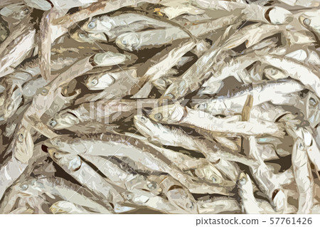 Niboshi Niboshi - Stock Illustration [57761426] - PIXTA