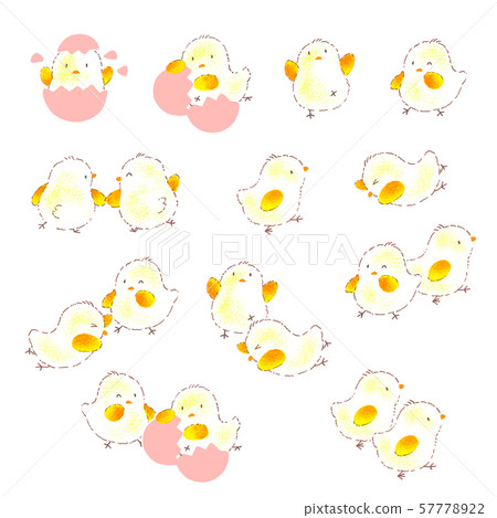 Cute hand drawn chick illustration - Stock Illustration [57778922] - PIXTA