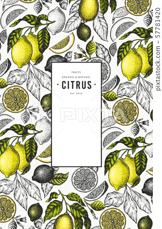 Lemon tree frame template. Hand drawn vector fruit - Stock Illustration ...