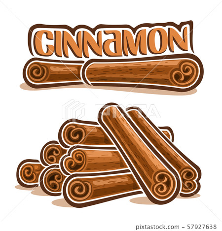 Vector illustrations of Cinnamon - Stock Illustration [57927638] - PIXTA