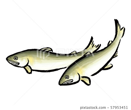 Ayu Ayu brush illustrations - Stock Illustration [57953451] - PIXTA