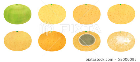 Mandarin orange ripe fruit mold tangerine blue... - Stock Illustration ...