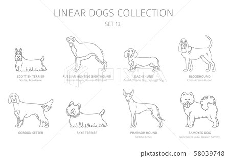 Simple line dogs collection isolated on white. Dog - Stock Illustration ...