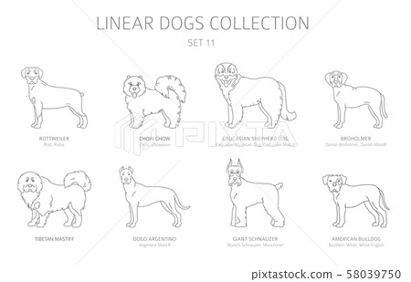 Simple line dogs collection isolated on white. Dog - Stock Illustration ...
