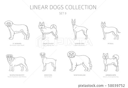 Simple line dogs collection isolated on white. Dog - Stock Illustration ...