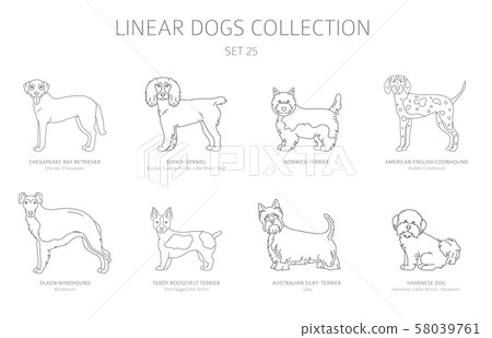 Simple line dogs collection isolated on white. Dog - Stock Illustration ...