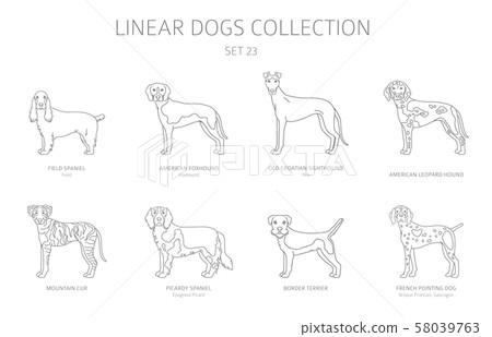 Simple line dogs collection isolated on white. Dog - Stock Illustration ...