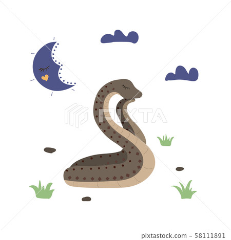 Snake sleeping to night. - Stock Illustration [58111891] - PIXTA