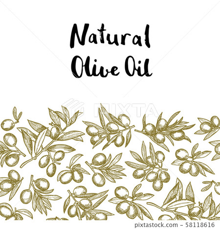 Vector hand drawn olive branches background - Stock Illustration ...