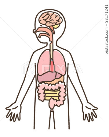 Human body, cute, no skin color - Stock Illustration [58171241] - PIXTA