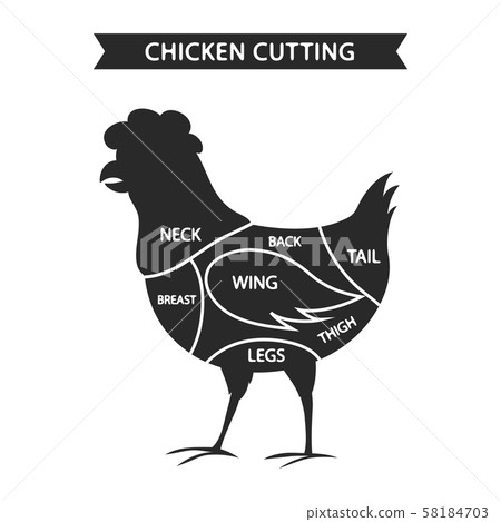 Chicken cuts vector illustration isolated on... - Stock Illustration ...