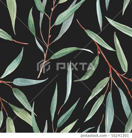 Watercolor australian floral pattern - Stock Illustration [58241301 ...