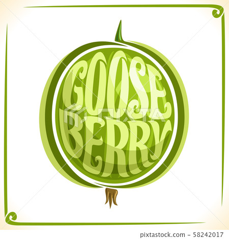 Vector logo for Green Gooseberry - Stock Illustration [58242017] - PIXTA