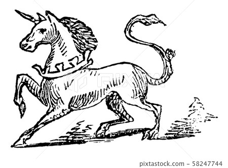 Unicorn, vintage illustration - Stock Illustration [58247744] - PIXTA