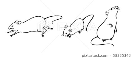 Mouse line art 1 - Stock Illustration [58255343] - PIXTA