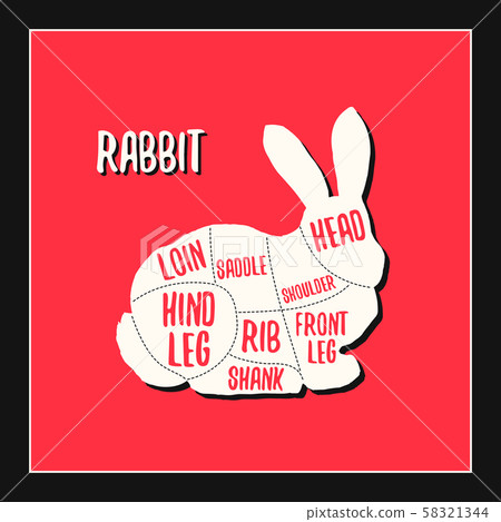 Rabbit meat cutting charts vector illustration - Stock Illustration ...