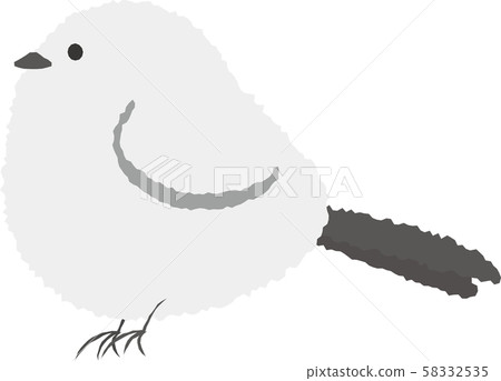 Shimaenaga - Stock Illustration [58332535] - PIXTA