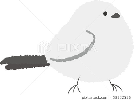 Shimaenaga - Stock Illustration [58332536] - PIXTA