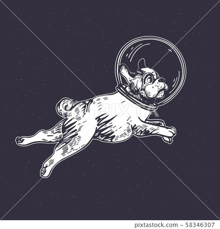 Pug astronaut flies in space. Cosmic illustration. - Stock Illustration ...