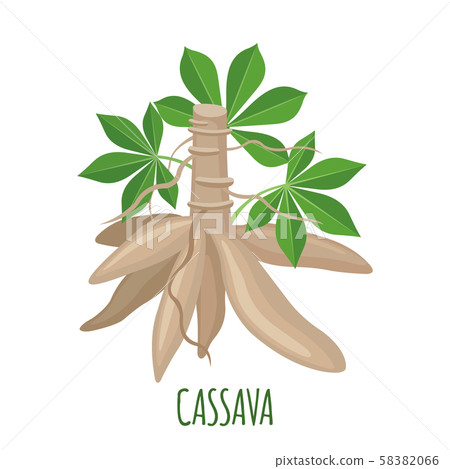 Cassava tree icon in flat style isolated on... - Stock Illustration ...