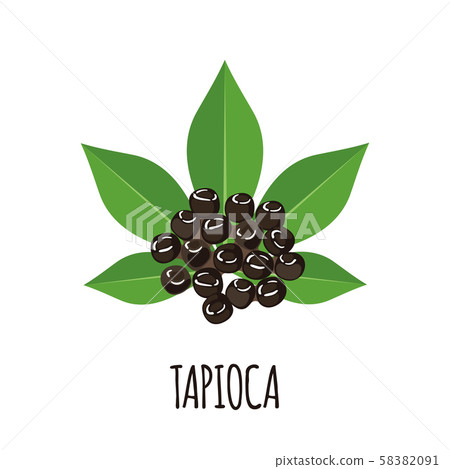 Tapioca icon with cassava leaf in flat style... - Stock Illustration ...