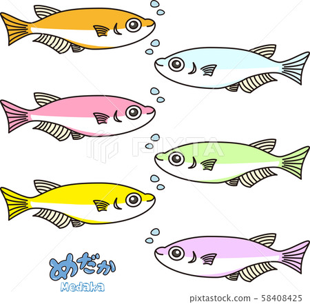 Medaka 6 colors set Colorful - Stock Illustration [58408425] - PIXTA