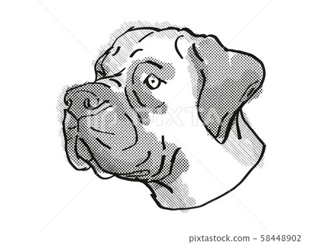 Boerboel Dog Breed Cartoon Retro Drawing - Stock Illustration [58448902 ...