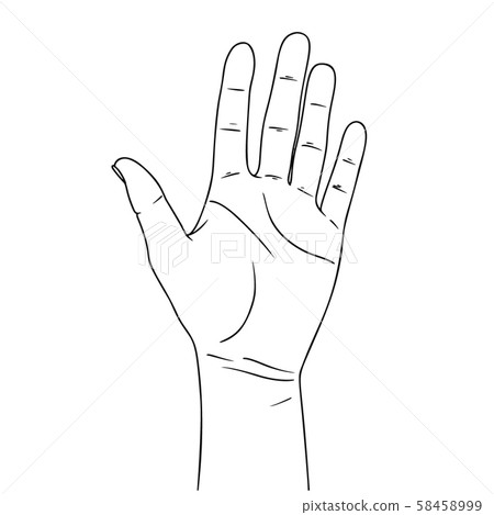 Sketch of counting hand isolated on white... - Stock Illustration ...
