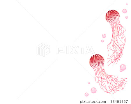 Jellyfish illustration_red jellyfish_frame - Stock Illustration ...