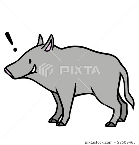 Boar illustration (! Mark) - Stock Illustration [58509463] - PIXTA
