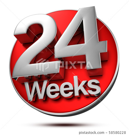 24 Weeks 3d. - Stock Illustration [58580228] - PIXTA