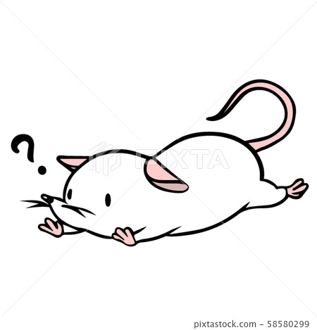 Simple rat illustration (white) - Stock Illustration [58580299] - PIXTA