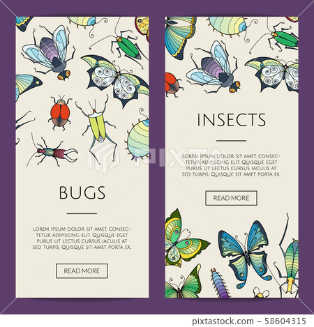 Vector hand drawn insects web banner illustration - Stock Illustration ...