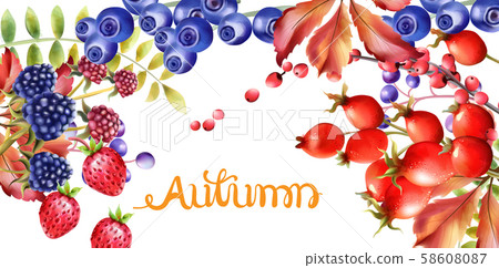 Autumn wild forest berries and flowers - Stock Illustration [58608087 ...