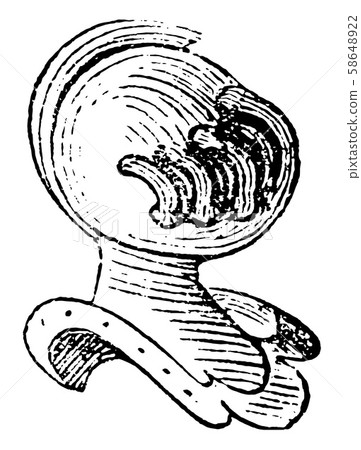 Grated Helmet Profile is common to all degrees of-插圖素材 [58648922] - PIXTA圖庫