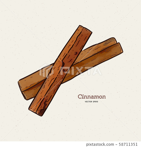 Cinnamon Illustration