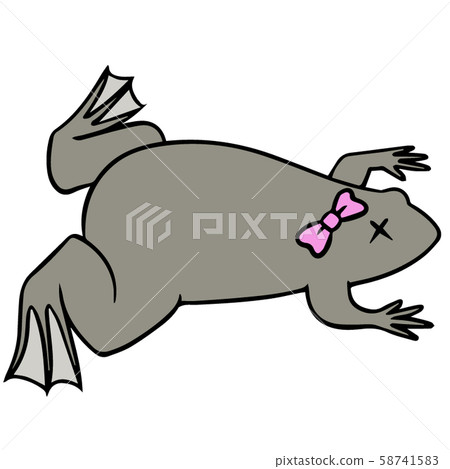 Illustration of a simple Xenopus (female) (weak... - Stock Illustration ...