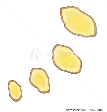 Ginger slice illustration material - Stock Illustration [58788066] - PIXTA