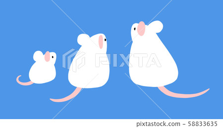 Three rats - Stock Illustration [58833635] - PIXTA