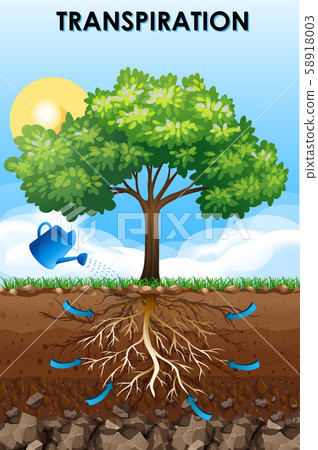Soil Science Posters