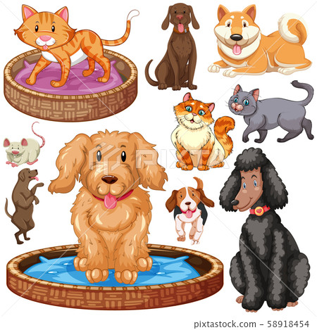Set of isolated cats and dogs - Stock Illustration [58918454] - PIXTA