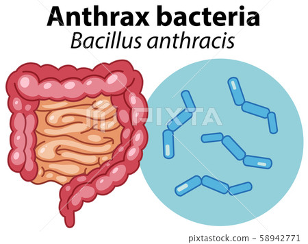 Magnified cells of Anthrax bacteria - Stock Illustration [58942771] - PIXTA