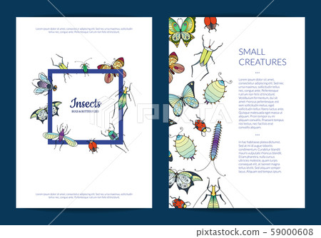 Vector hand drawn insects card or flyer... - Stock Illustration ...