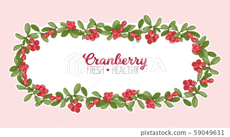 Cranberry. Element for design. - Stock Illustration [59049631] - PIXTA