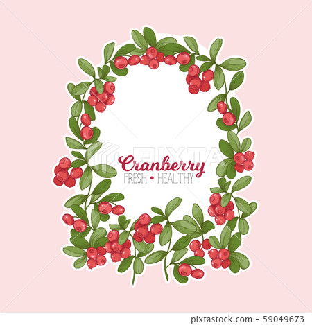 Cranberry. Element for design. - Stock Illustration [59049673] - PIXTA